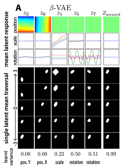 β Vae Learning Basic Visual Concepts With A Constrained Variational Framework Loic Matthey 2967